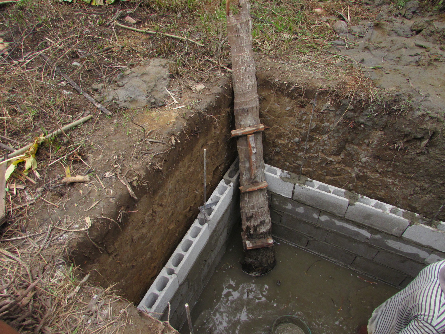 Sorry,all the clever names are taken.: The Piggery: Day Three