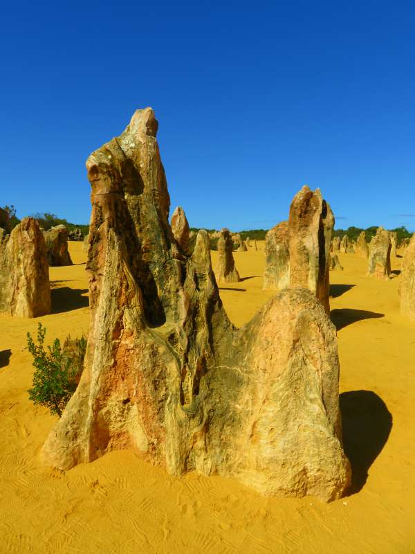 The Travelling Lindfields: Pinnacles and Stromatolites: Ancient ...