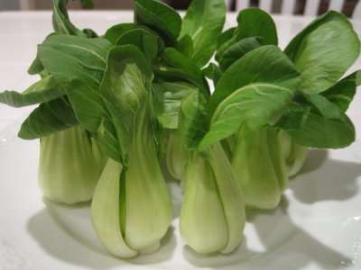 VARJACOM KROZ SVET: BOK CHOY