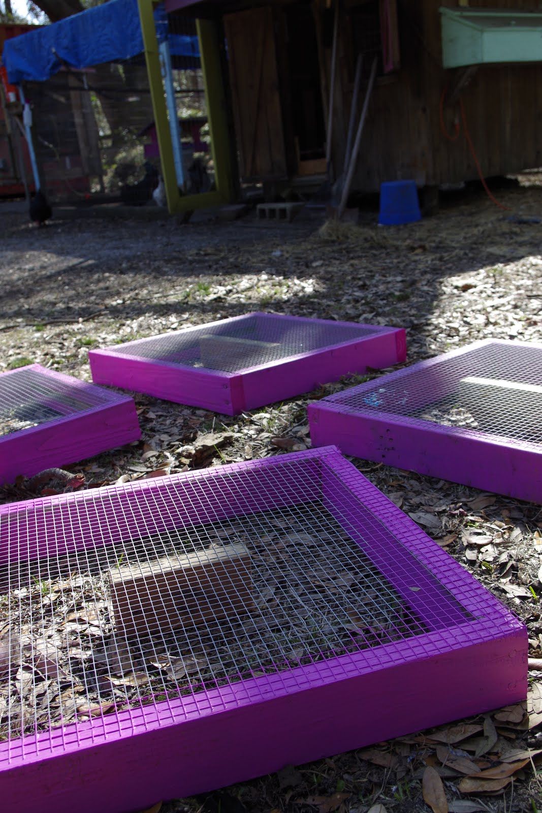 The Foxy Chicken: Chicken Run Grazing boxes