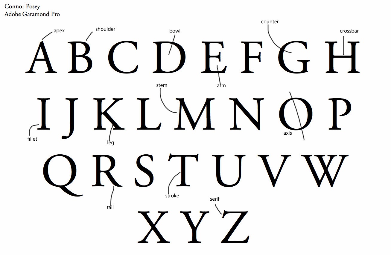 TypographyWinter2014: Type Anatomy: Connor Posey