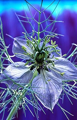 Out of this world 2: Andy Small - Fine Art Photography