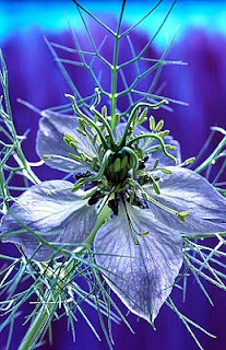 Out of this world 2: Andy Small - Fine Art Photography