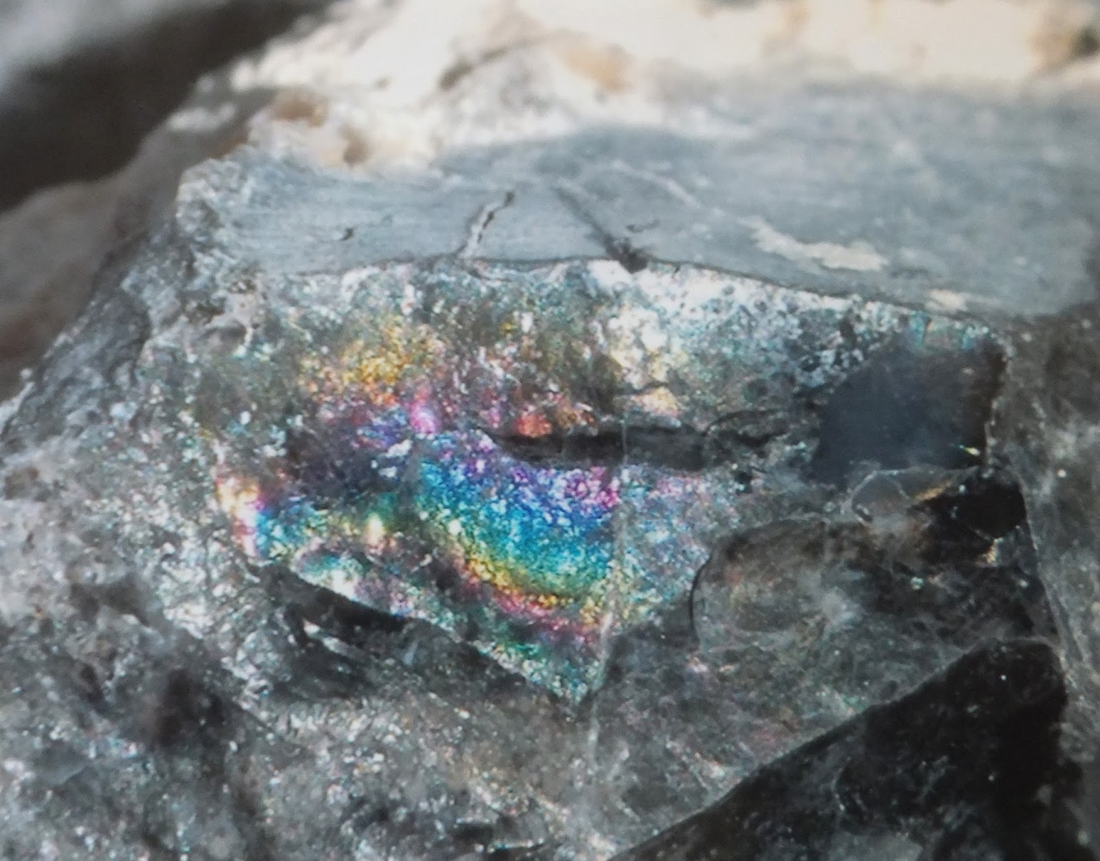 Giant Opal Deposit Discovery Along Highway: Cedar Rim Opal Deposit ...