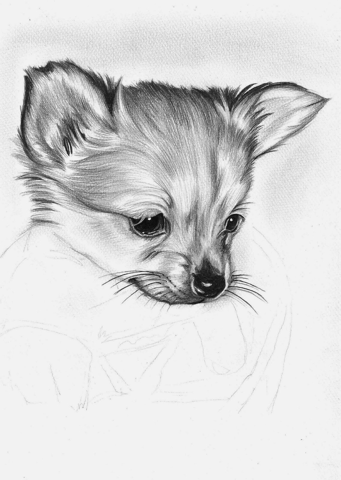 Alice draws-" Alicja w krainie rysunku ": " Etapy powstawania rysunku ...