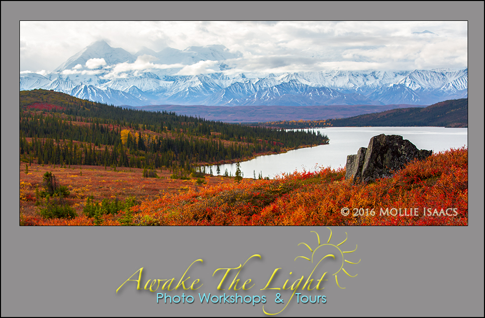 Awake The Light: Autumn In Alaska
