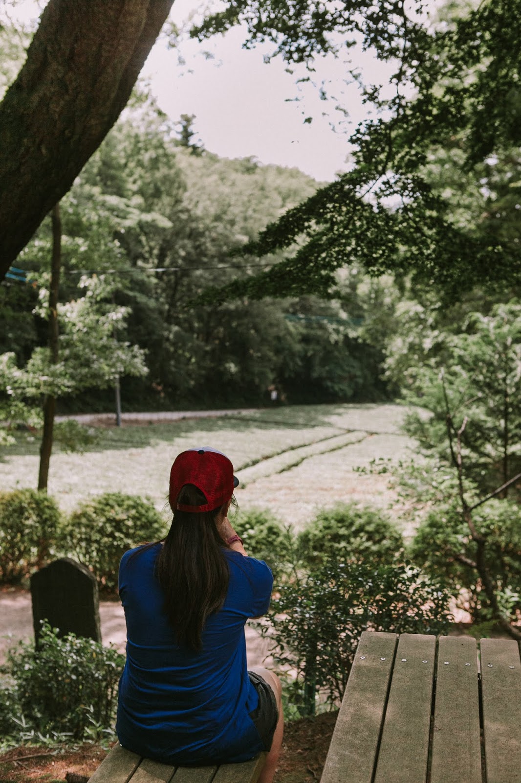A Walk in Totoro's Forest - Sayama Hills Day Trip from Tokyo ...