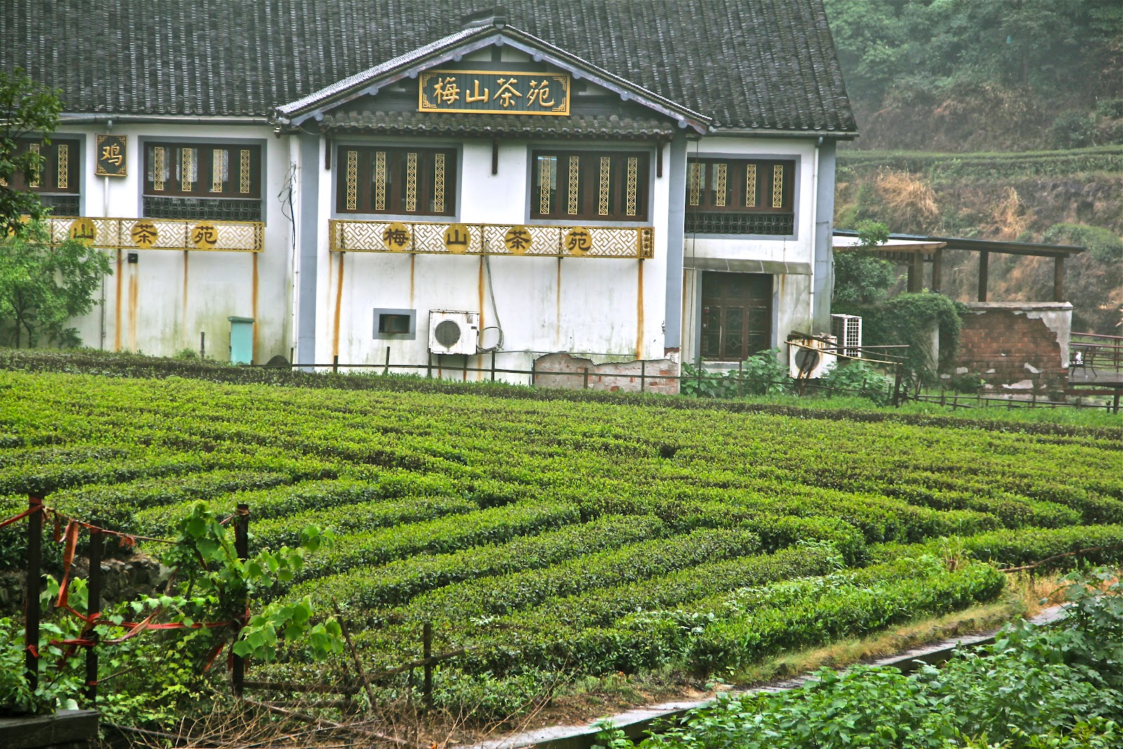 Travelling Diary: Trip to Meijiawu Tea Culture Village, Hangzhou, China ...