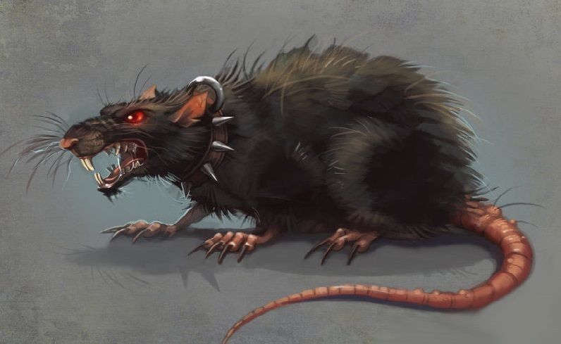 Mauigirl's Meanderings: Fighting the Rat of Death