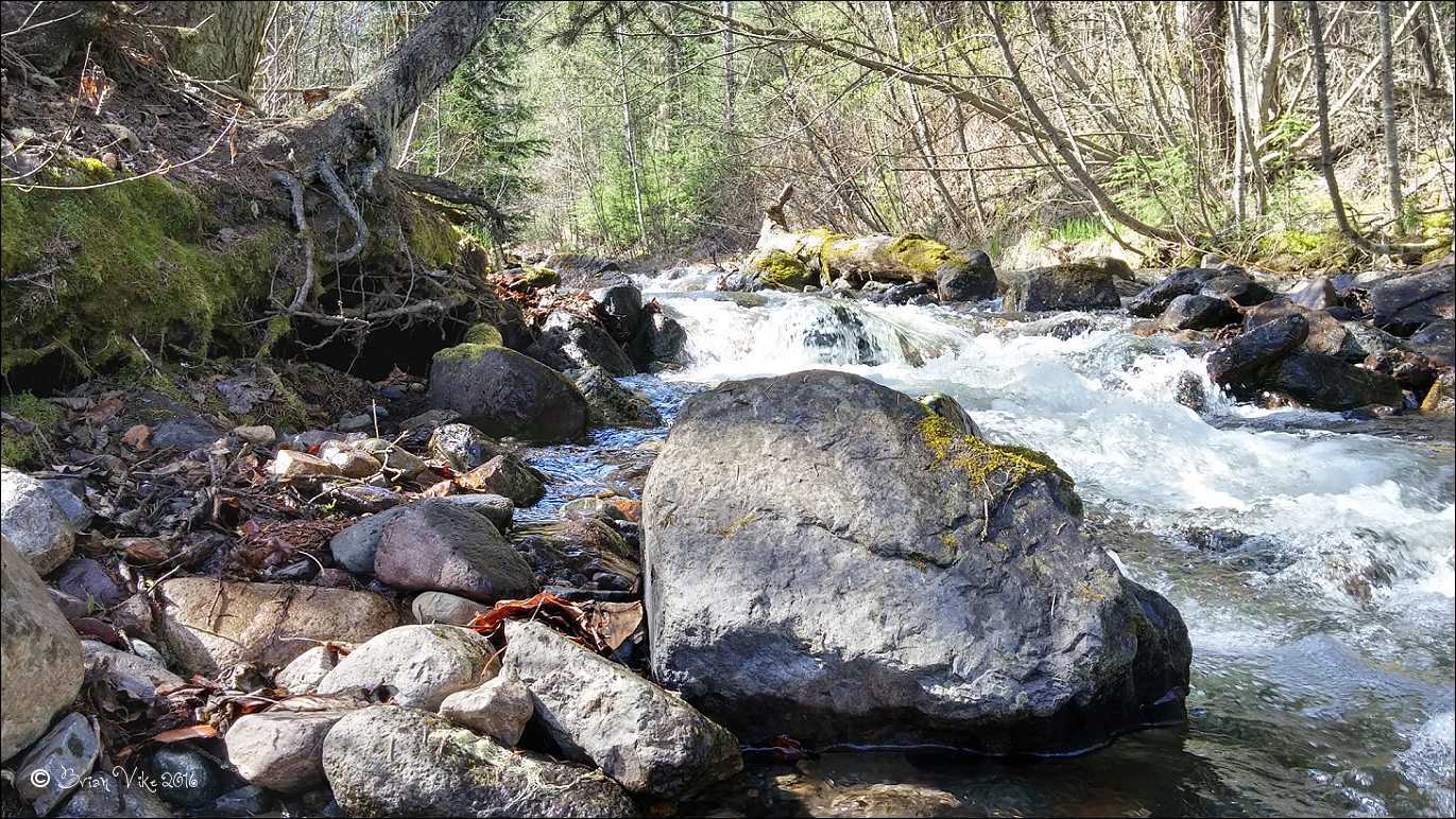 Northern Interior British Columbia: Small Flowing Creek Smithers ...