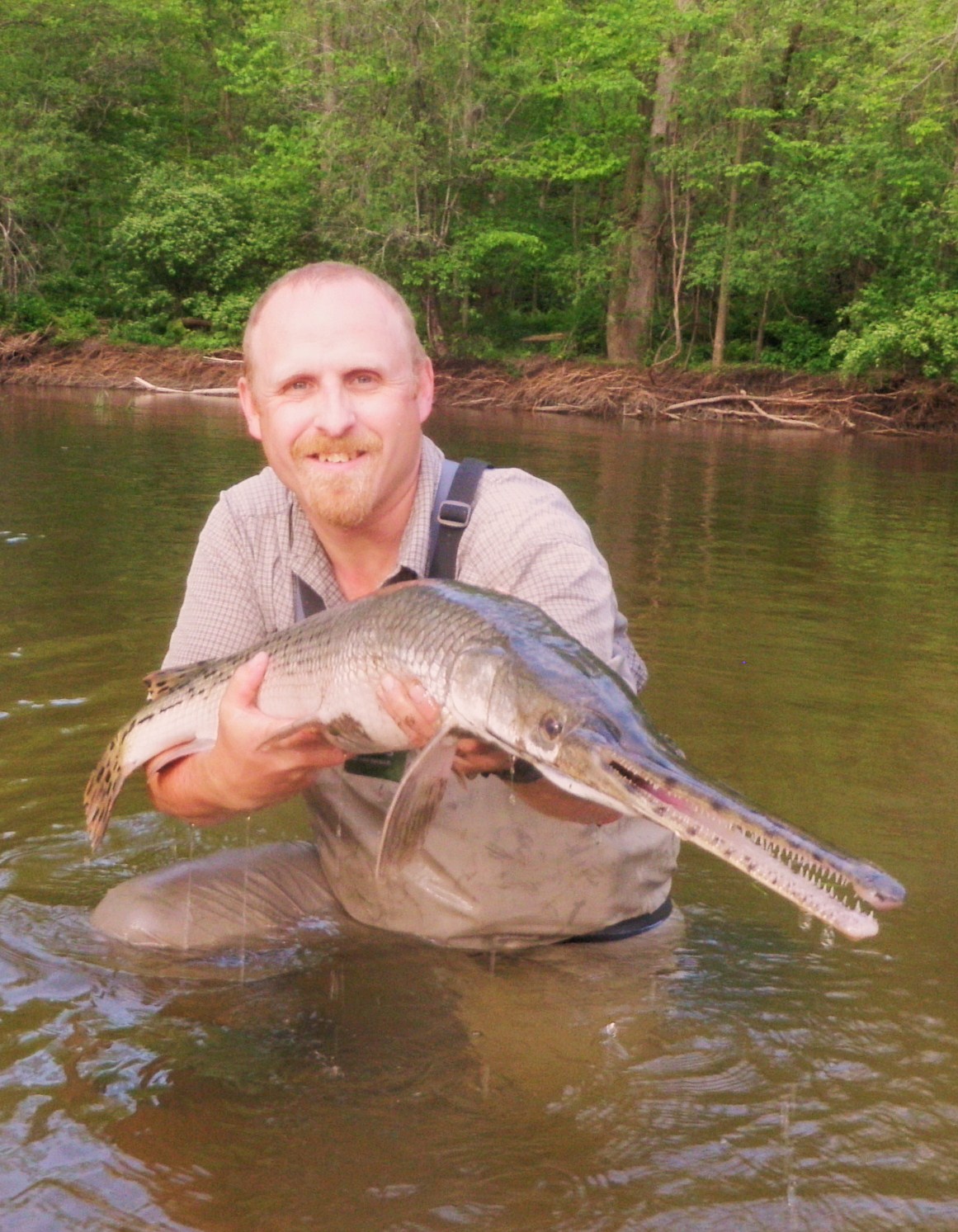 The Adventures and Musing of Drew Price, Angler: Gar-gantuan!