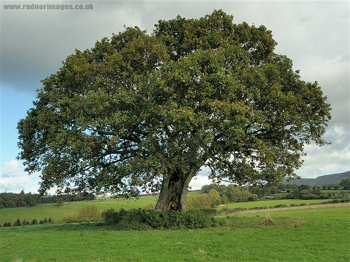 Jill's World: March 2016