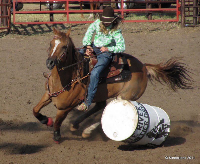 kinexxions: Roe-Dee-Oh :: Mutton Busting and Barrell Racing