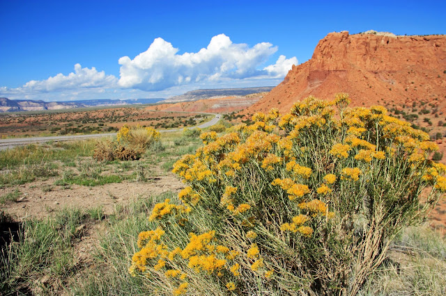A is for Adventure: Autumn Weekend in Durango, Colorado
