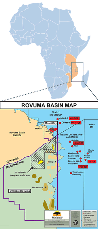 Mozambique Oil: Rovuma Onshore Concesion