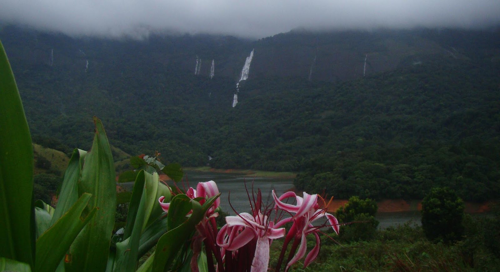 Tamilnadu Tourism: Siruvani Waterfalls, Coimbatore