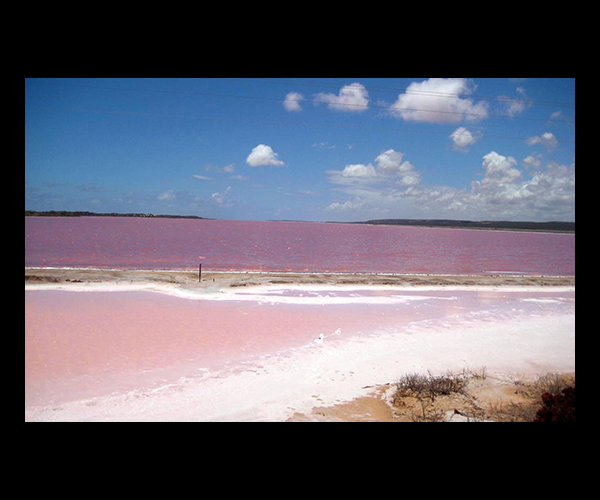 LAGO ROSA | The World