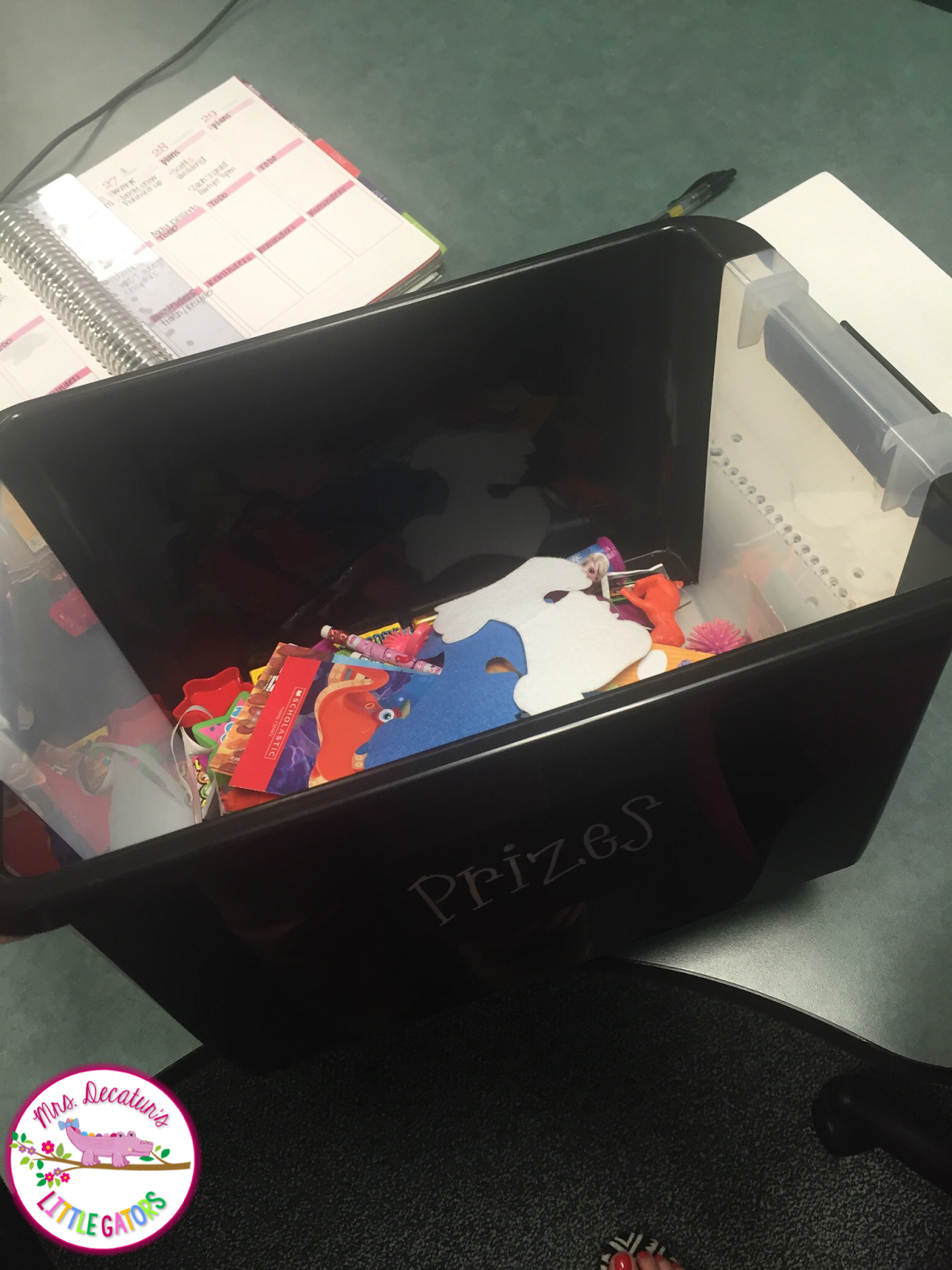 Mrs.Decatur's Little Gators