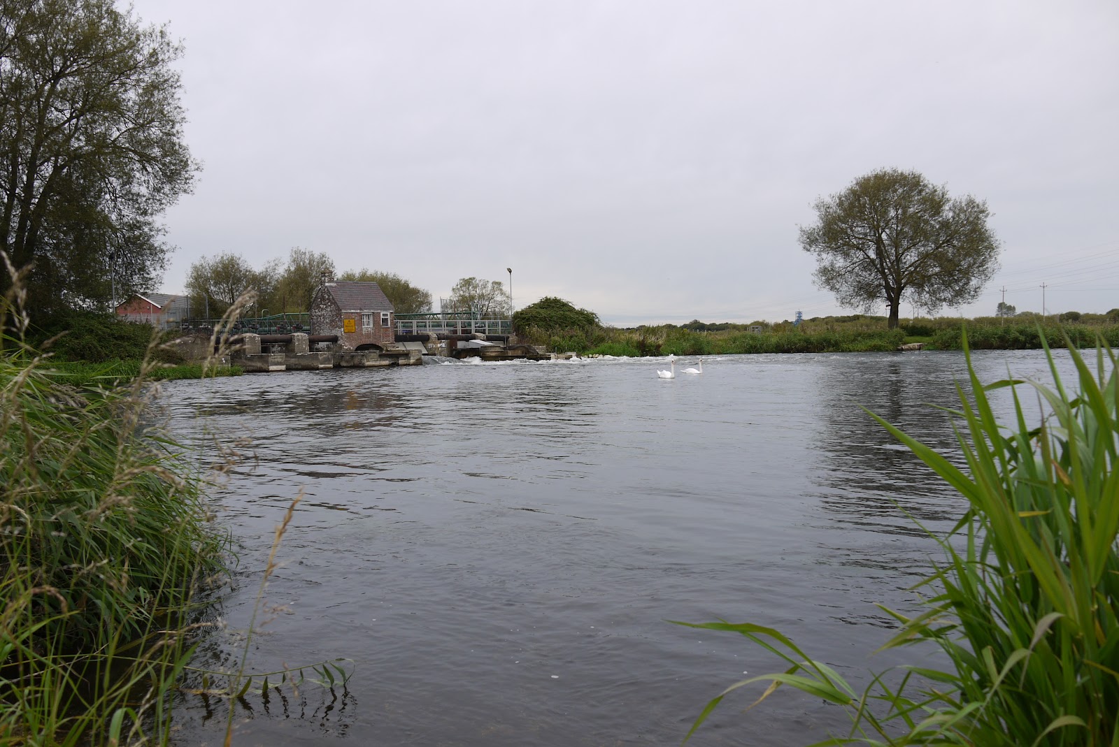 James' Angling Adventures.: Hampshire Avon (Royalty Fishery)