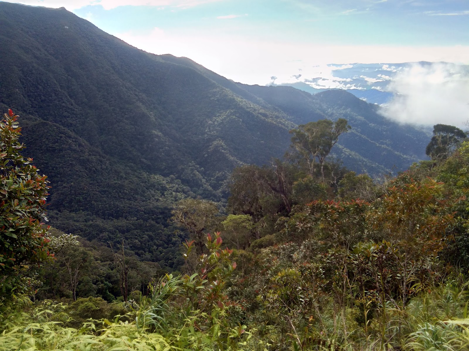 MT TRUSMADI VIA SINUA: PENDAKIAN GUNUNG TRUSMADI