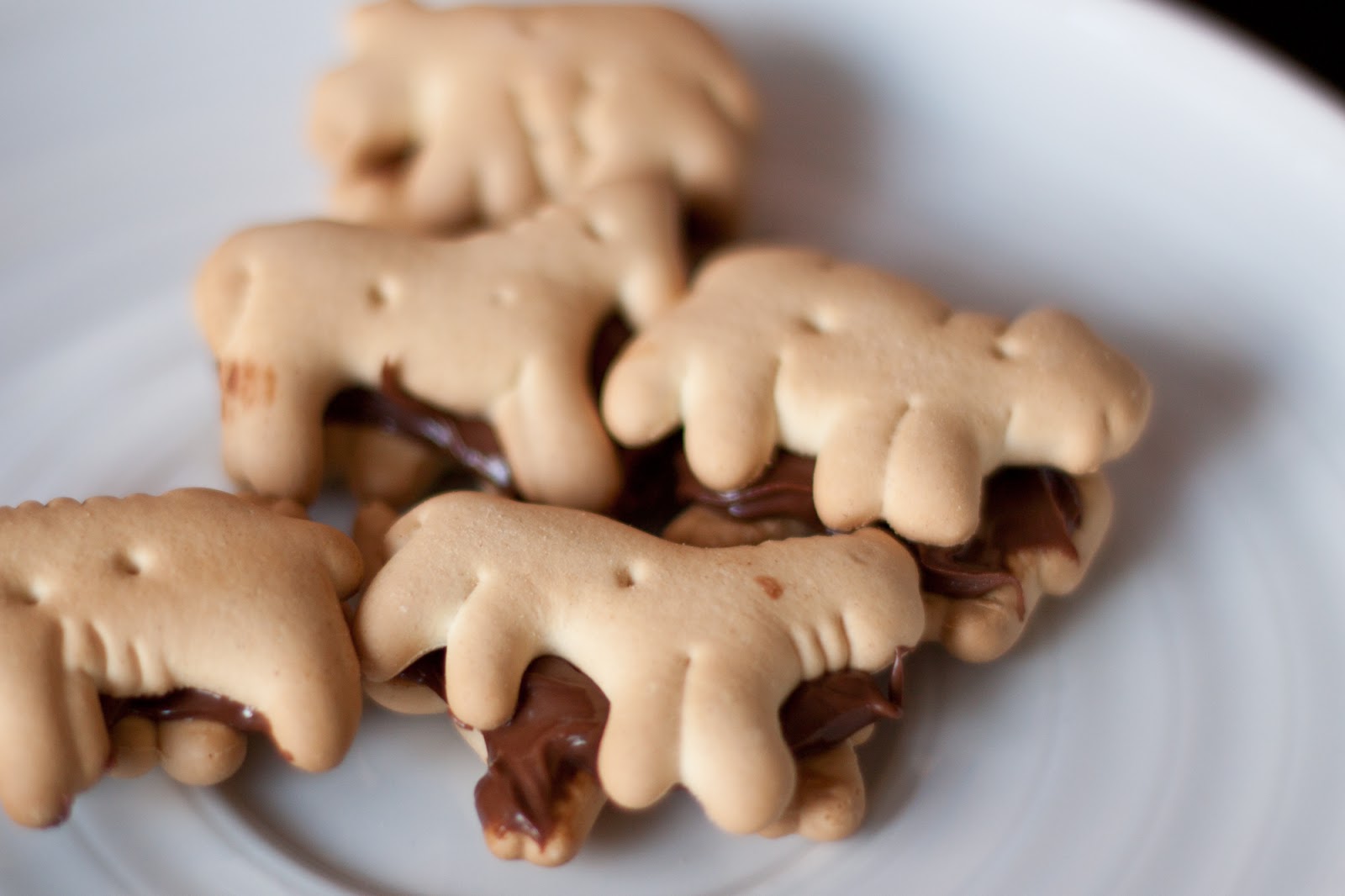 Elizabeth Lou & Company