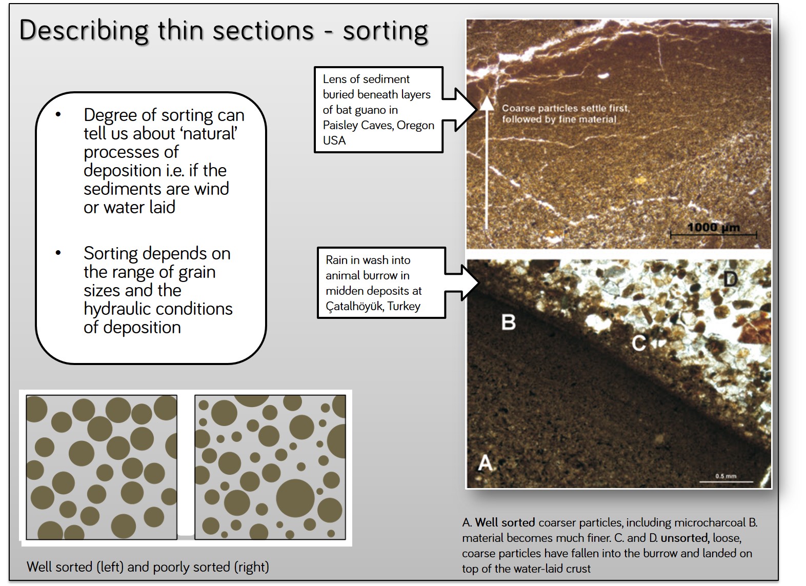 Teaching geoarchaeology and sediment micromorphology