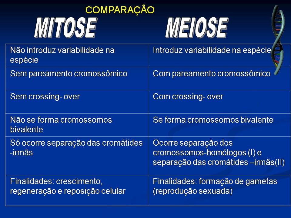 Biolugando: MITOSE X MEIOSE