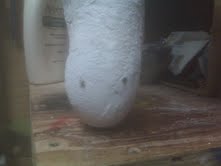 Foot and Ankle Problems By Dr. Richard Blake: Inverted Orthotic ...