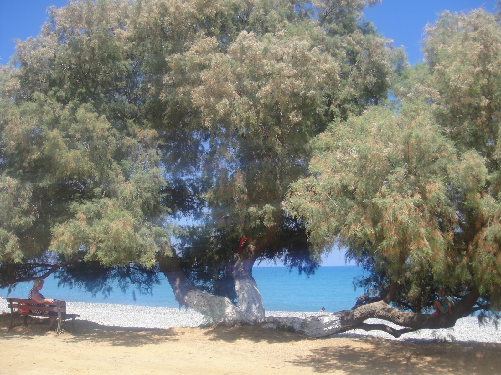 Ταξιδεύοντας στα σύννεφα..: ΠΑΛΙΡΡΟΙΑ-ΤΑΒΕΡΝΑ ΣΤΑ ΚΑΜΙΣΙΑΝΑ -ΧΑΝΙΑ ...