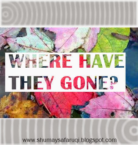 Wise to Share: Where have they gone?