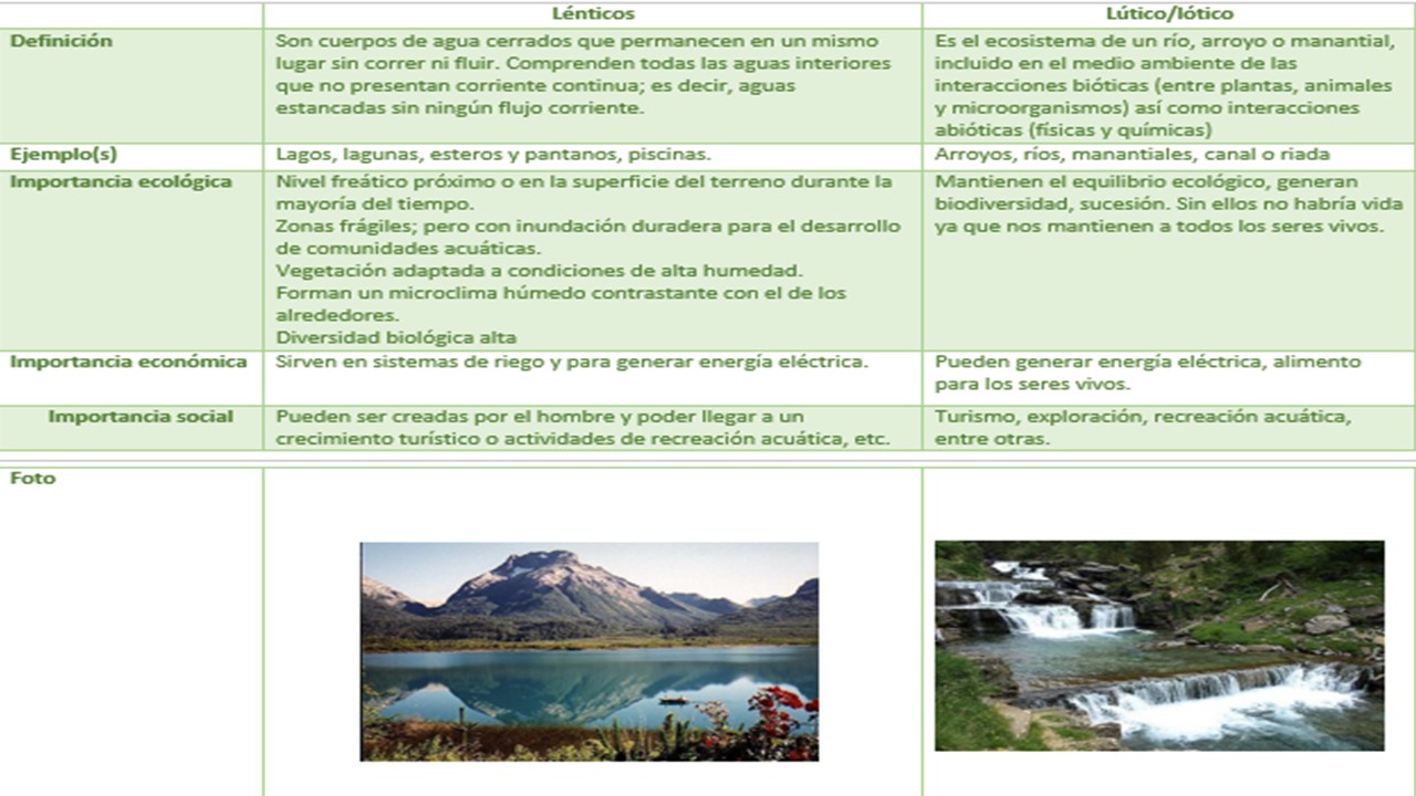 Ecosistemas de Rios y Lagos: Lénticos y Lóticos