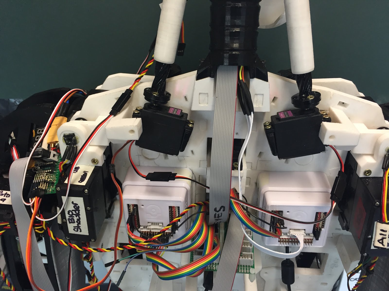 General InMoov and other build photographs