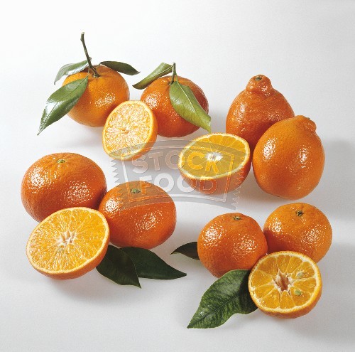 Citrus Fruits Pictures Part 1
