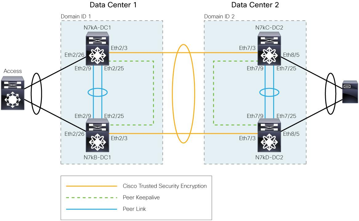 What are the different types of vPC? ~ Network & Security Consultant