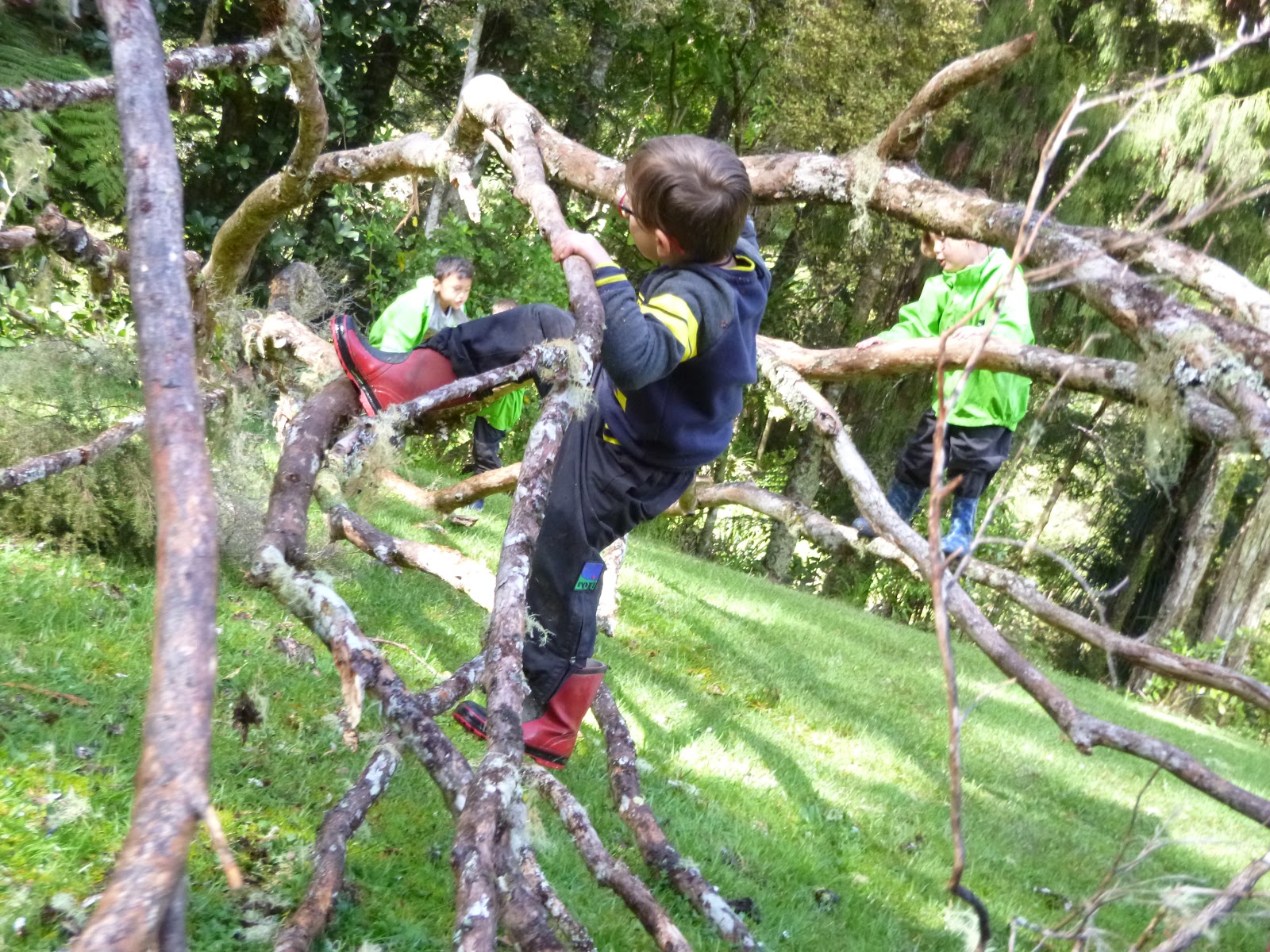 Mairtown Kindergarten: What a surprise discovery on the nature programme