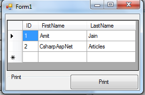 PageSetupDialog In C# VB.NET WinForms Windows Forms Application ~ ADO TRICK