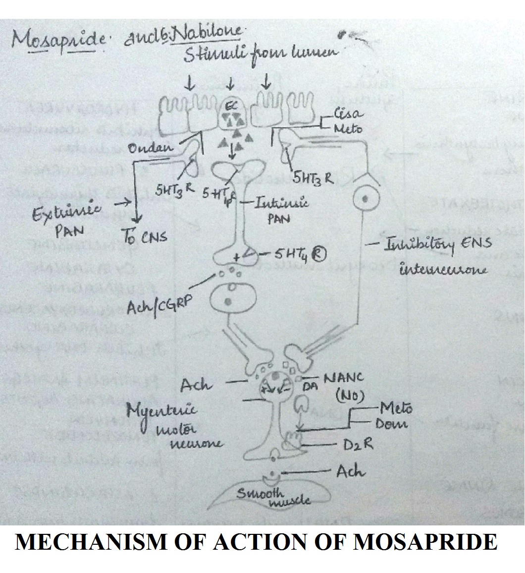 Pharmacology of Drugs: Mosapride