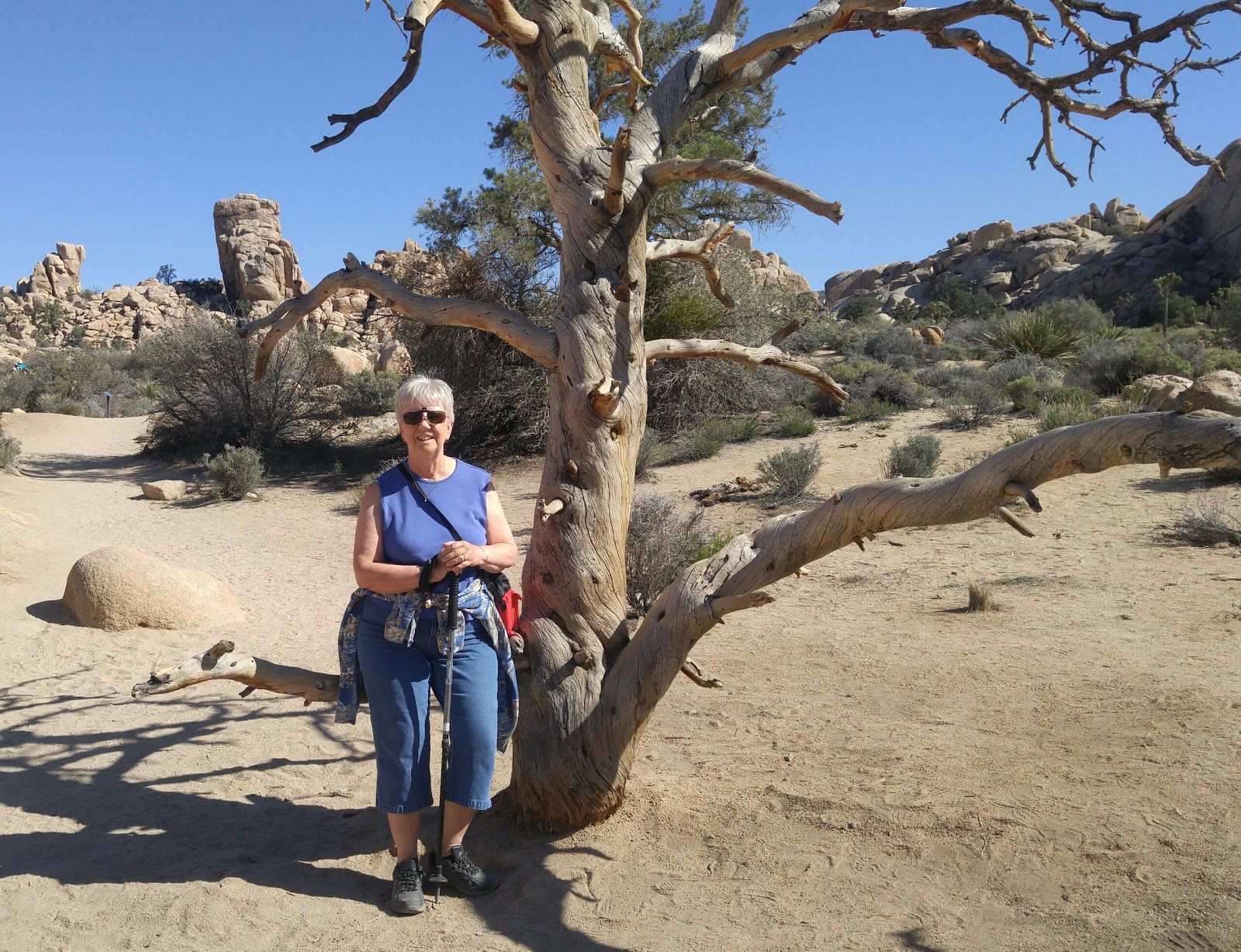 2016 Yuma Trip: Joshua Tree National Park