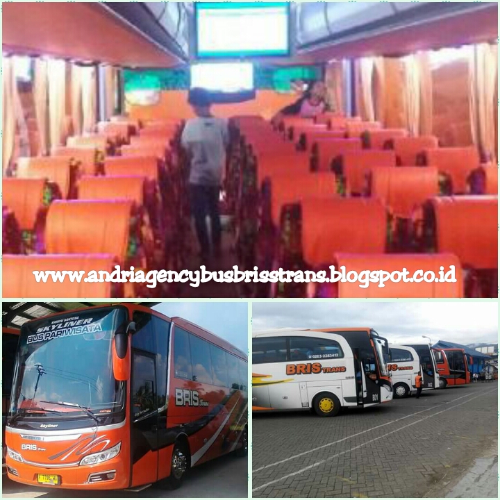 bus pariwisata Bris Trans 08998385846 - 082220277709 - 087777146999 ...