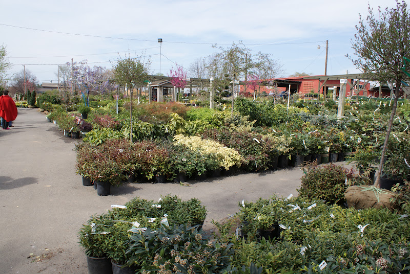 Day By Day: Merrifield Garden Center