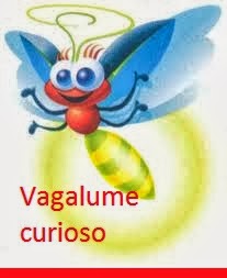 Vagalume Curioso
