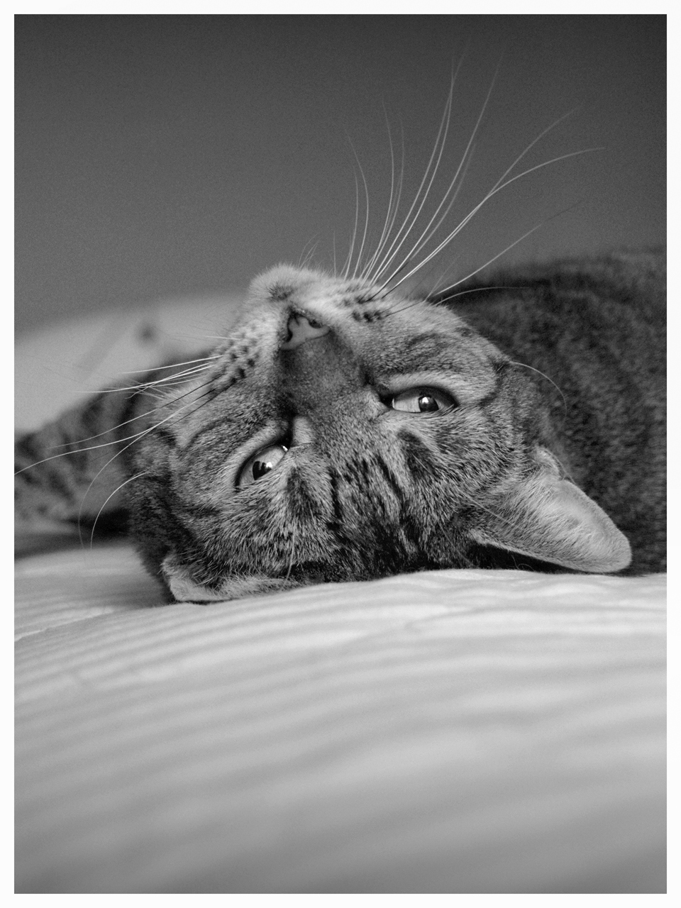 Wanda Martin Photography