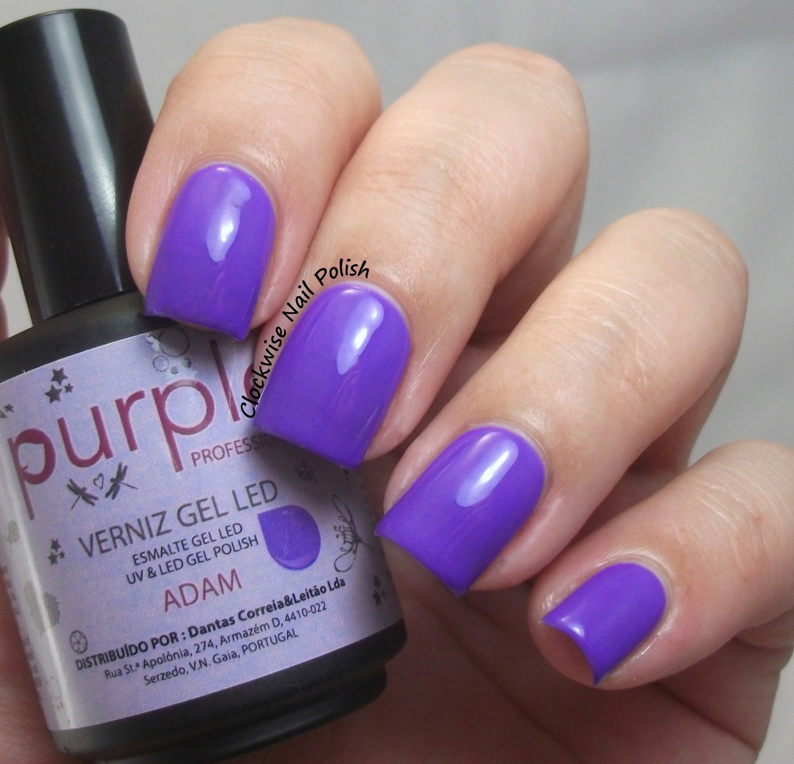 The Clockwise Nail Polish: Purple Professional Adam Gel Polish Review