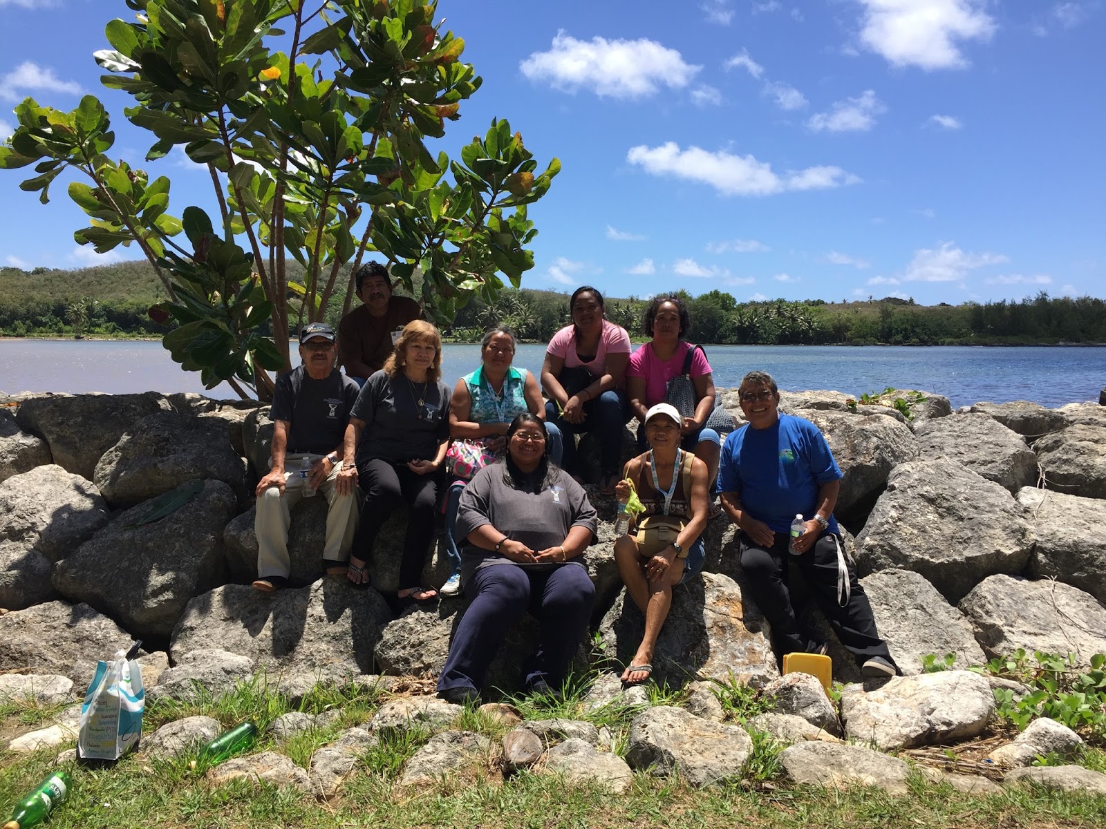 PIBBA INTERNATIONAL: 2016