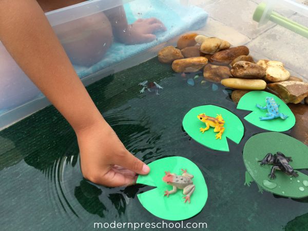 Frog Splashing Pond Small World