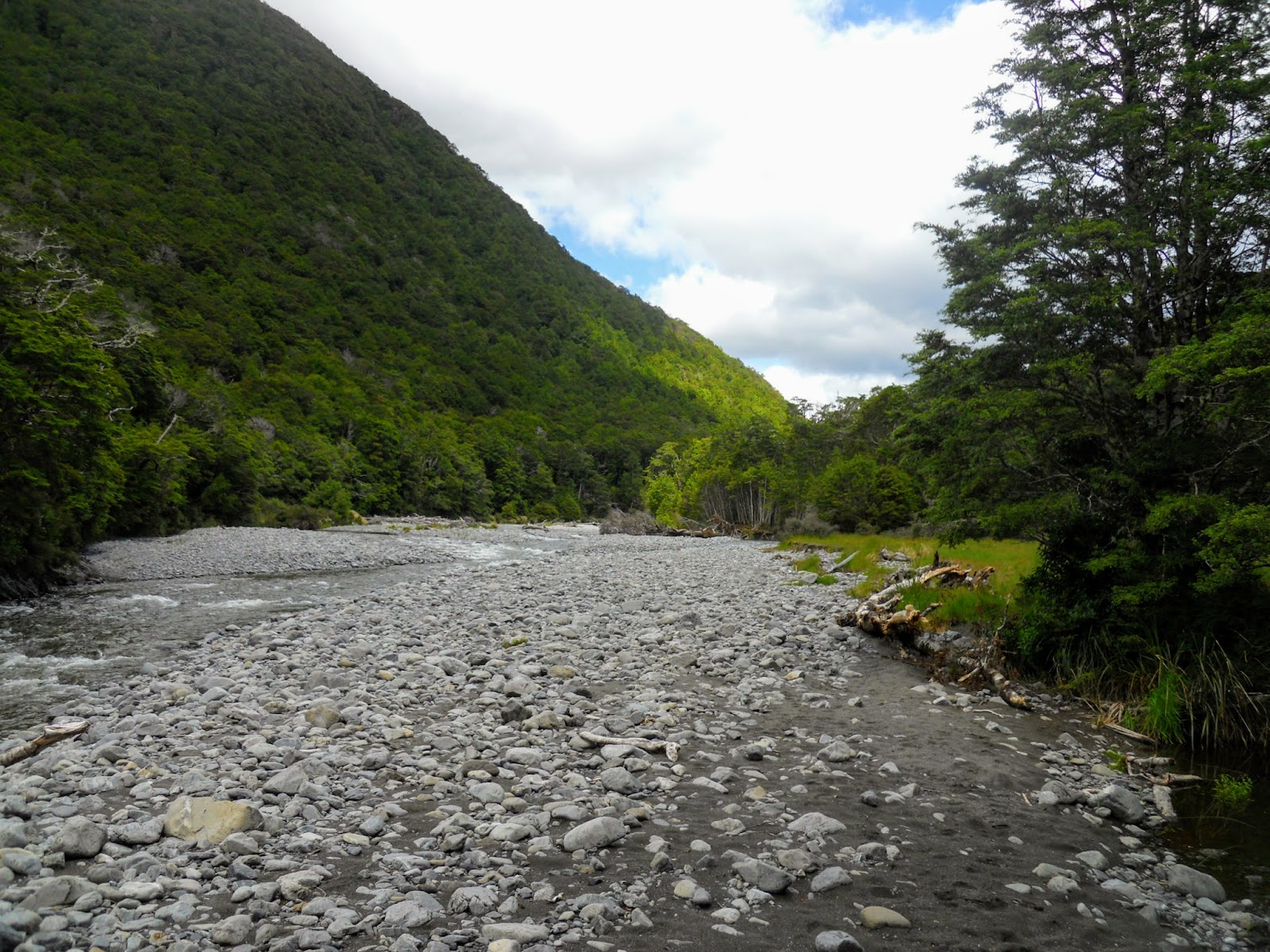 Tramping in the New Zealand backcountry: NZ Bush Adventures: Nina ...