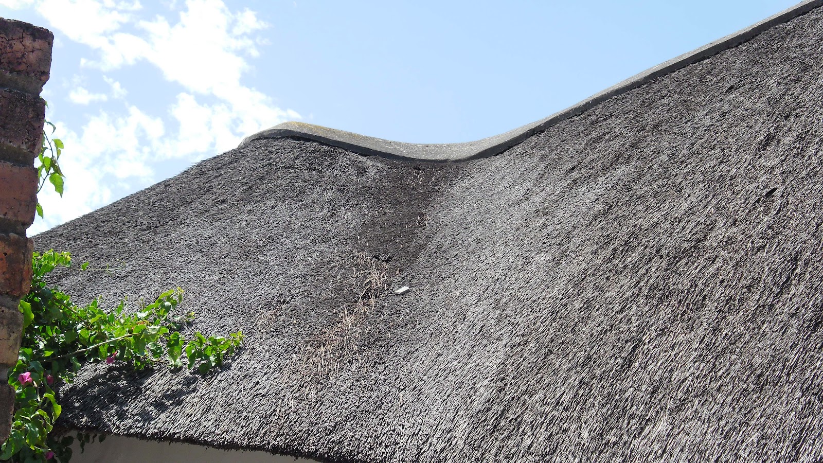 Thatched Roof Maintenance Explained - Brushing a Thatch Roof