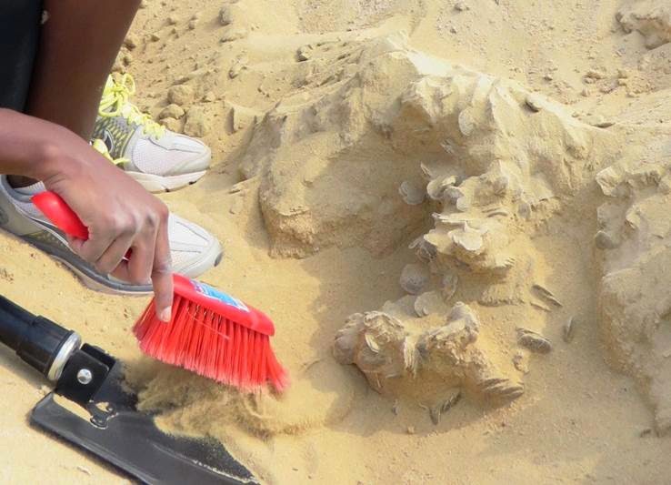 Getting to Know Qatar: Treasure in the Sand (Not Oil)