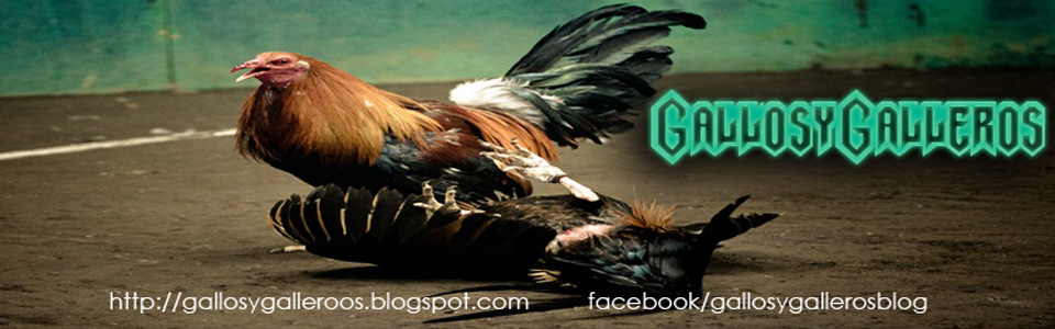 Gallos Y Galleros: Los Brown Red.
