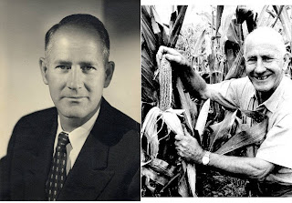 Portale Scientifico: Un gene, una proteina